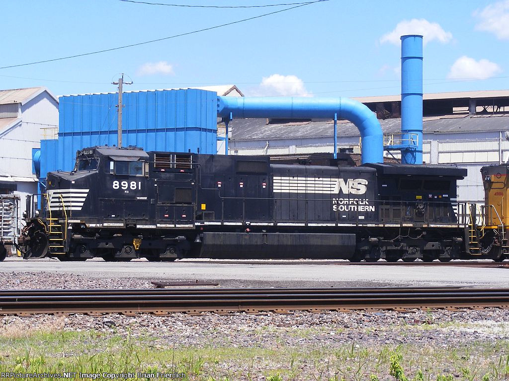 NS 8981